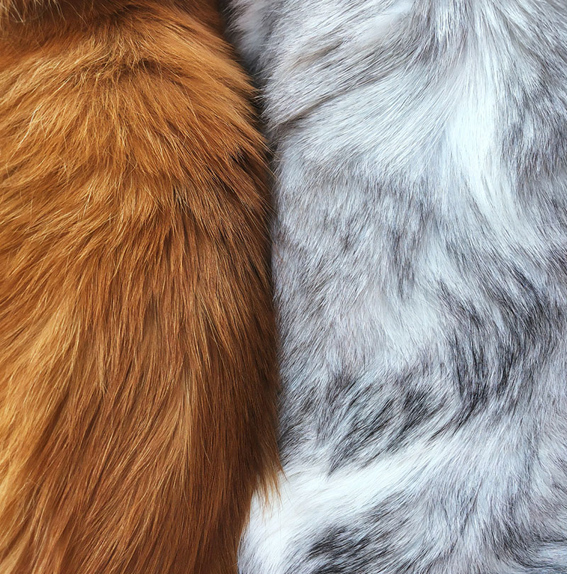 Fourrures – Mademoiselle Lili Plume